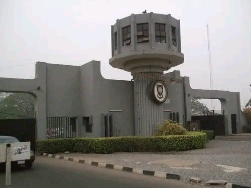 Lists of The Courses, Programmes Offered in University of Ibadan (UI ...