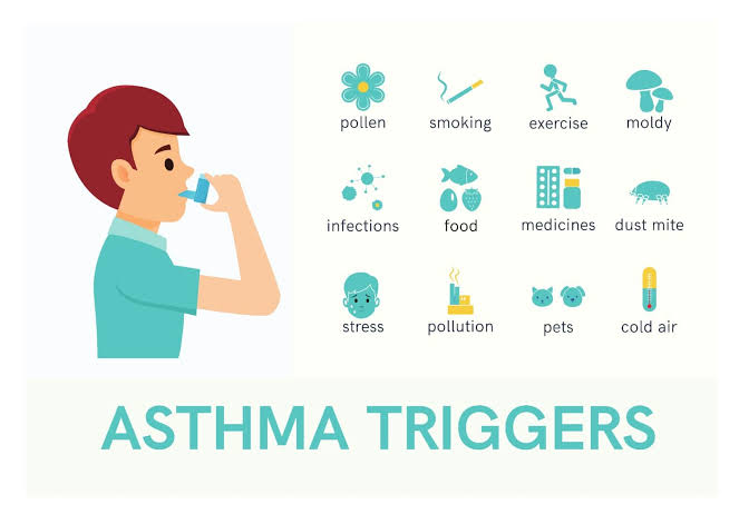 Common Asthma Triggers and How to Avoid Them – 9jaPolyTv